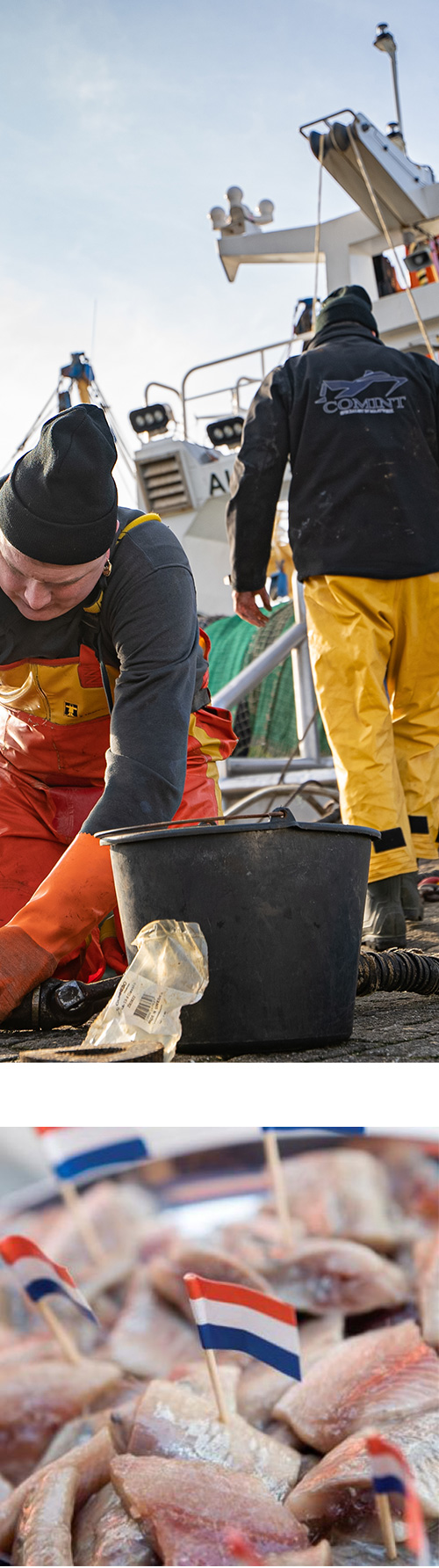 オランダの魚について About Fish 1 ～The Netherlands Food Style Vol.38 - The Eating ...